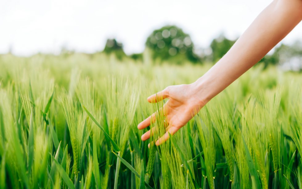 Earth Touch | Quality Natural Earth Products